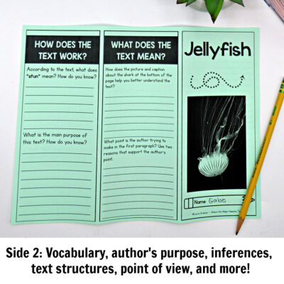 Ocean Animals Close Reading Passages: Grades 2-3 - Where the Magic Happens