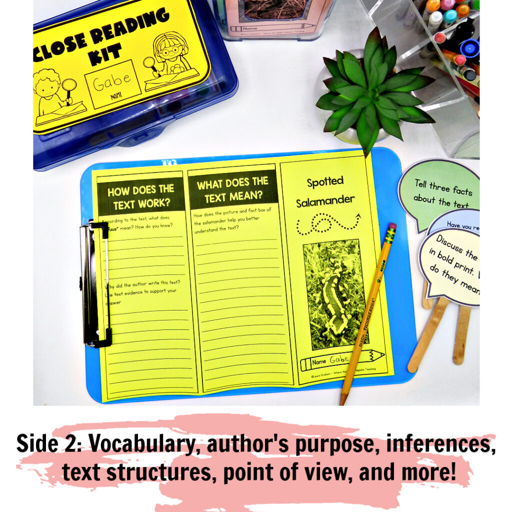 Amphibians Close Reading & Content Literacy Pack